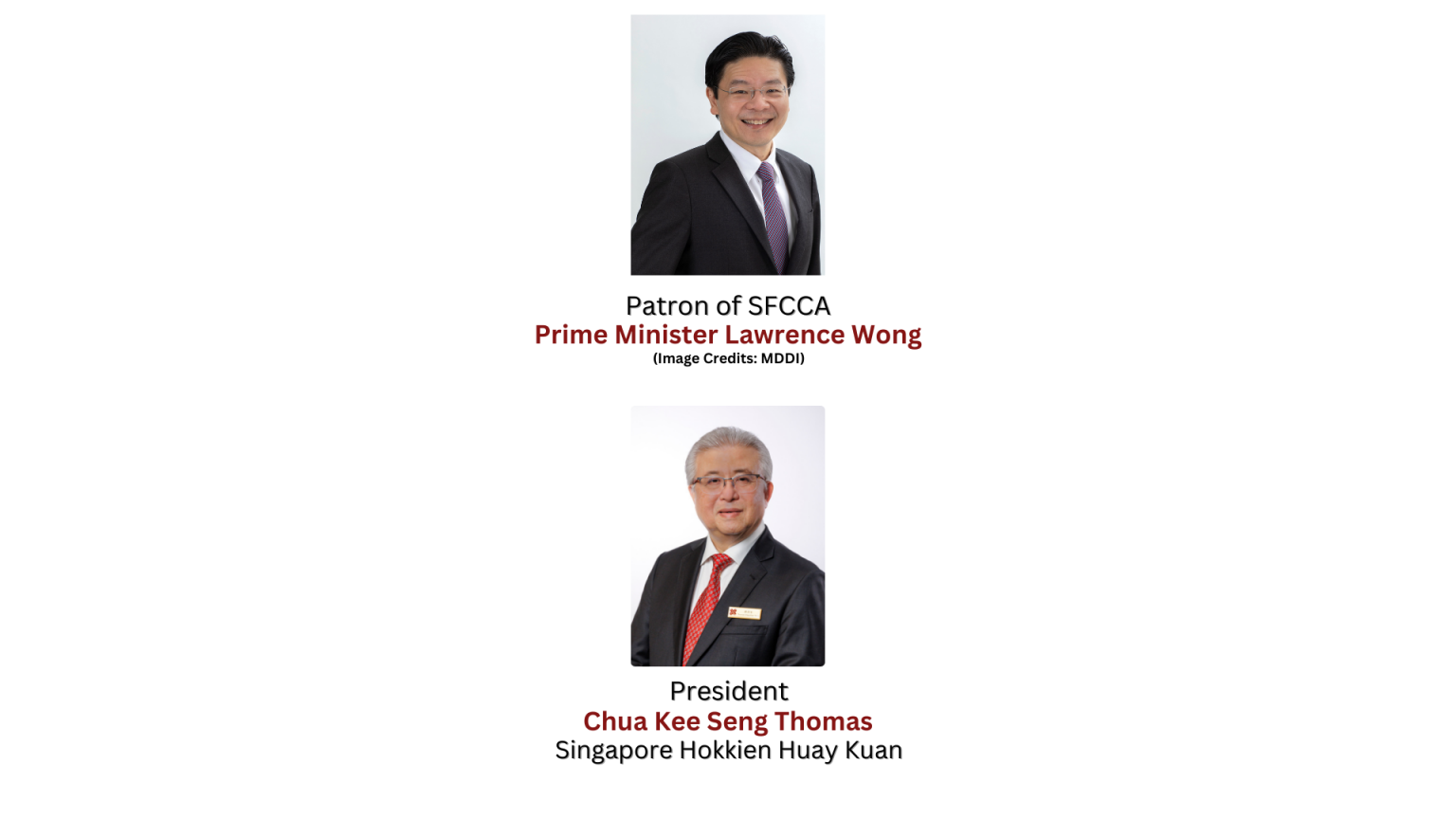 Organisation Structure – Singapore Federation of Chinese Clan Associations